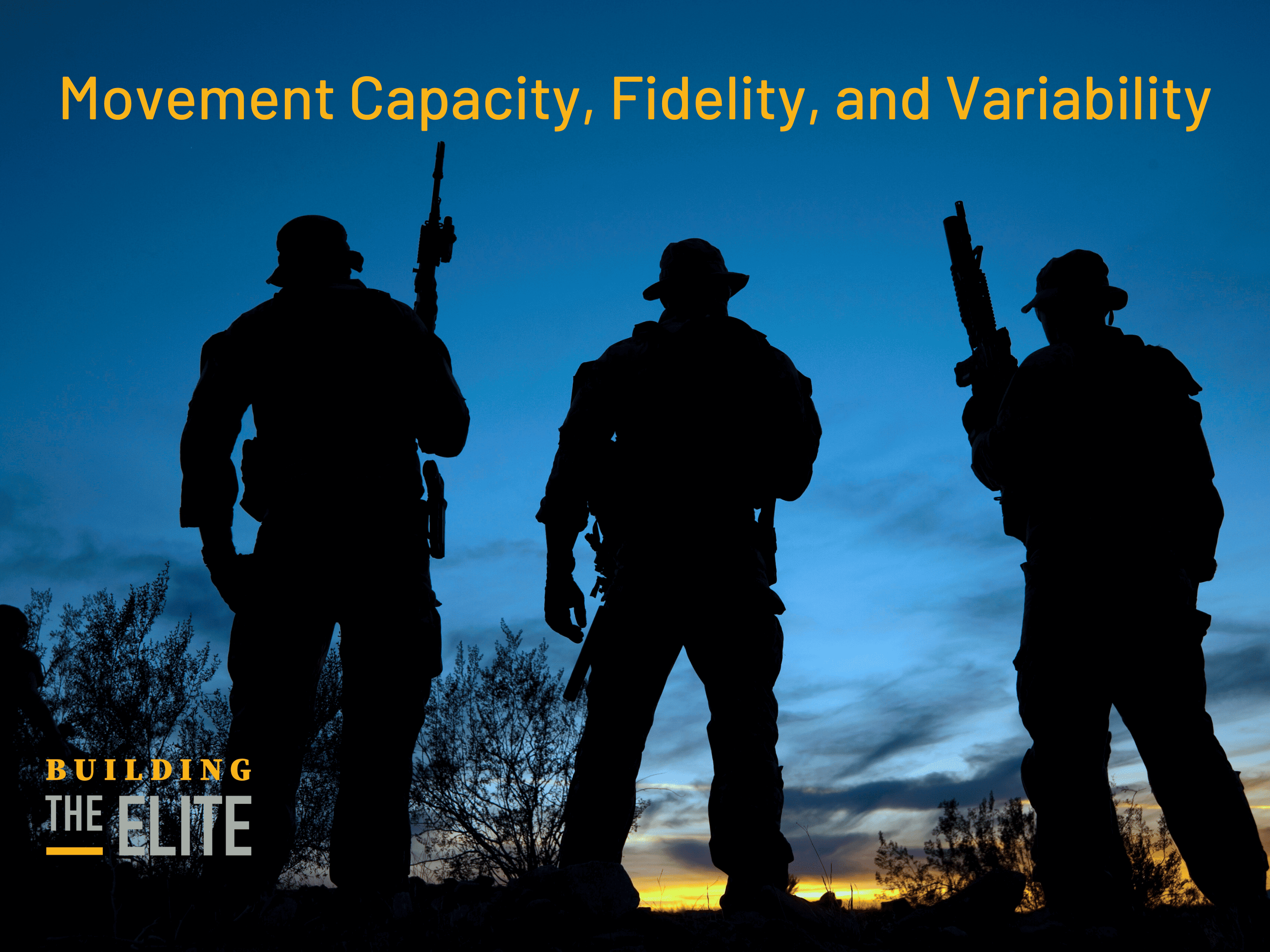 Movement Capacity, Fidelity, and Variability - Building the Elite